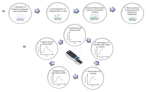 Graphene Biosensor Based Field Effect Biosensing To Detect Protein