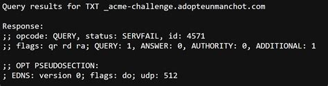 Dns No TXT Record Found At Acme Challenge Domain Tld Help Let S Encrypt Community Support