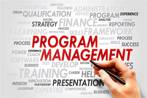Definition Program Management
