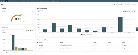 Netsuite Dashboard At Lucy Hynes Blog