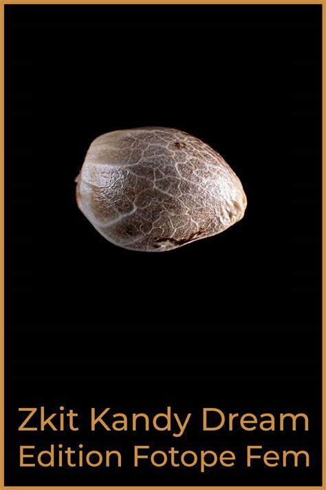 Mimosa Dream Fotope Fem Loyalty Genetics