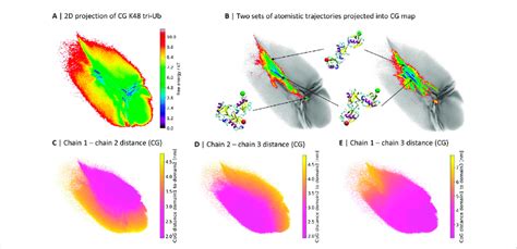2d Projections Of K48 Linked Tri Ub Trajectories From Coarse Grained Download Scientific
