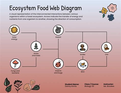 Illustrative Ecosystem Food Web Diagram Template Venngage
