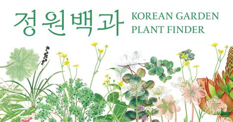 꿩의다리 정원백과