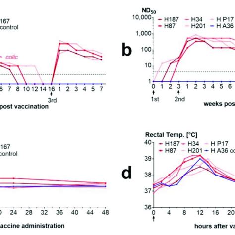 Inactivation Kinetics Of Bodv 1 Dessau During Binary Ethylenimine