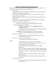Chapter The Structure And Function Of Macromolecules Pdf Chapter The Structure And