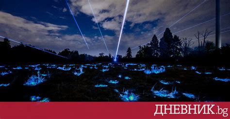 Фотогалерия Sofia Lights осветява парк Врана за трета поредна година Дневник