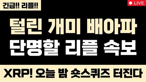 리플 진짜 미쳤습니다 털린 개미 배아파 단명할 리플 속보 Xrp 대박입니다 오늘 밤 숏스퀴즈 터진다 Xrp 무조건 올라요