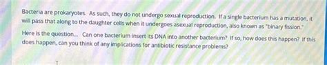 Solved Bacteria Are Prokaryotes As Such They Do Not Chegg Com