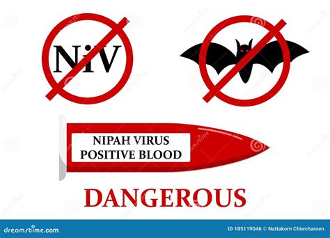 Nipah Virus Or Niv Sample Positive Blood In Tube And Dangerous Symbol Vector Illustration Nipah Virus Or Niv Sample Positive Blood In Tube And Dangerous Symbol Vector Illustration