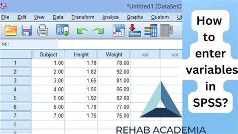Spss Data Entry