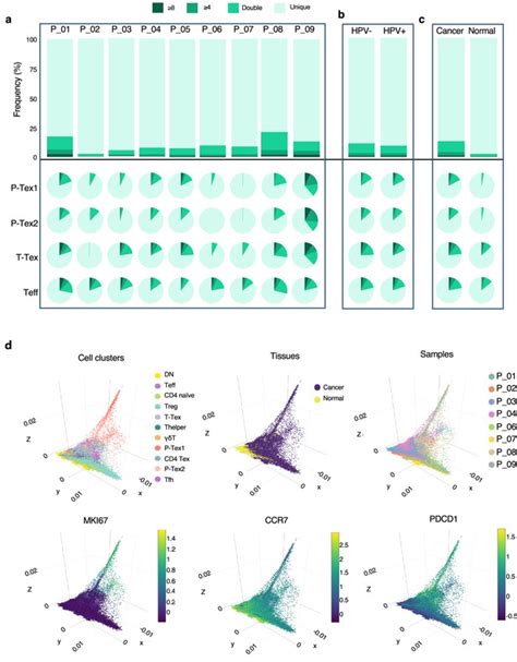 Figures And Data In Proliferative Exhausted Cd8 T Cells Exacerbate Long Lasting Anti Tumor
