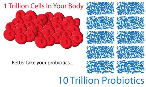 Amazing Facts About Probiotics Probiotics Org