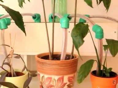 Plant Watering System Arduino Project Hub
