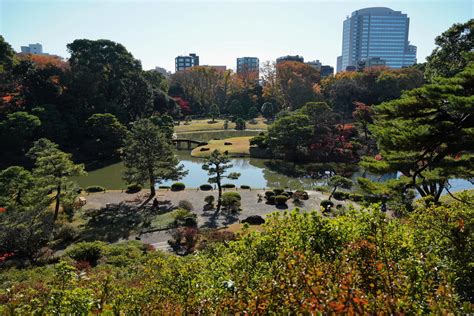 紅葉と歴史の庭園『続々・六義園』東京都文京区 嵐、ゴルフ、ミステリーの日々2
