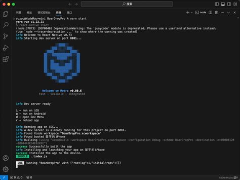 一篇文章教会你如何在ios真机上完美运行react Nativereact Native Ios真机调试 Csdn博客