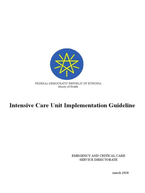 2 Intensive Care Unit Implementation Guideline March 2018 Pdf