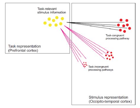 gating framework task information relevant stimulus dimension