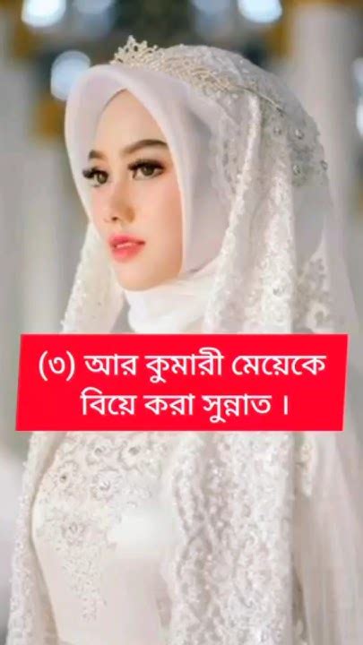এই তিন ধরনের মেয়েকে বিয়ে করা সুন্নাত শট ভাইরাল ভাইরাল ভিডিও মেয়েদের স্ট্যাটাস Love শর্ট