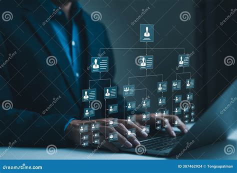 Organization Chart And Hierarchy Structure Employees In The Company