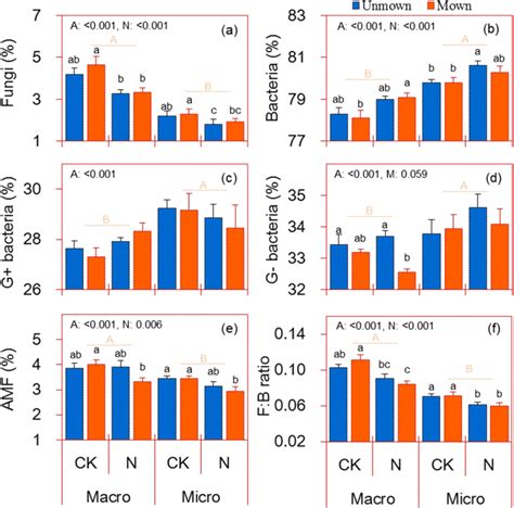 Effect Of Soil Aggregate Size A Nitrogen Addition N And Mowing M Download Scientific