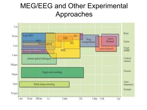 Basics Of Eeg Pptx