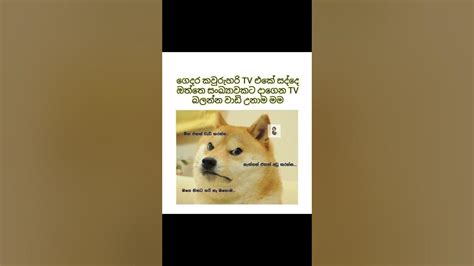 😂 සුදු තාත්තිගේ සුදු පාට ධනය 💔 Bukiye Rasa Katha Shorts Memes Fyp Fypshort Viralshorts