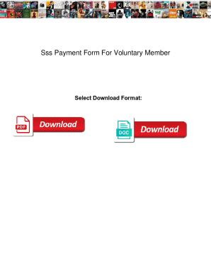 Fillable Online Sss Payment Form For Voluntary Member Sss Payment Form For Voluntary Member