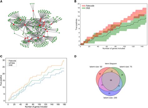 Fatecode Enables Cell Fate Regulator Prediction Using Classification Supervised Autoencoder