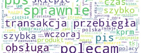 polish sentiment analysis using keras and word2vec ermlab software