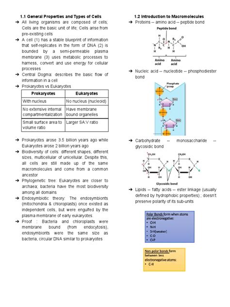 Midterm 1 Cheat Sheet Pdf Cell Membrane Cell Biology