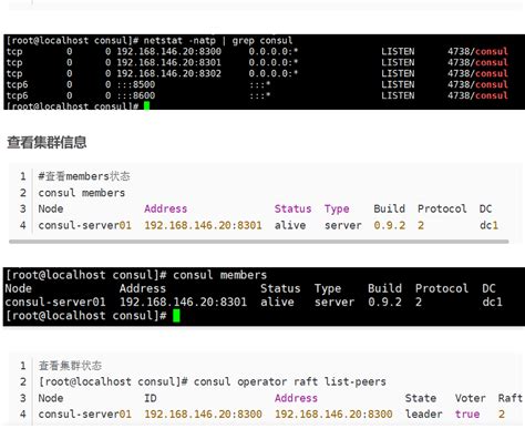 docker consul的容器