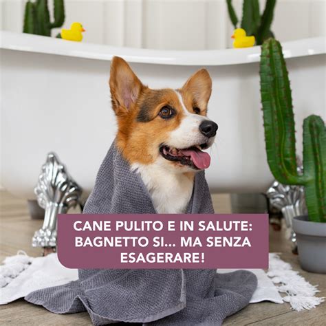 Farmacia 🤔 Il Mio Bambino Non Fa La Cacca Da Giorni Devo Fare Un Microclisma O Meglio Dare