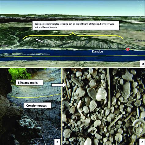Fine Grained Sediments With Upper Badenian Fauna Intercalated In The Download Scientific