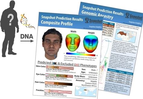 Did Cutting Edge Dna Analysis Point Police To Marrisa Shens Killer Cbc News