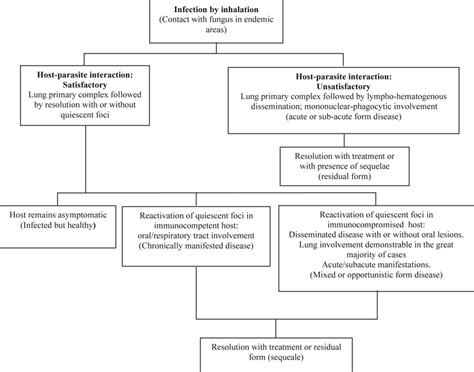 Paracoccidioidomycosis Oncohema Key