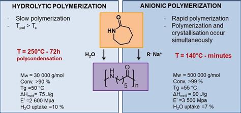 Comparison Between Hydrolytic Polymerization And Anionic Ring Opening Download Scientific