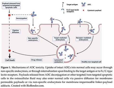 Weekend Adc Musings Dimension Research