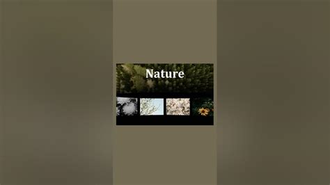 Endless Auto Scroll Animation In Figma Smooth Ui Effect Youtube