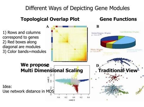 PPT Generalizations Of The Topological Overlap Matrix For Module Detection In Gene And Protein