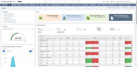 Proscope For Netsuite On Linkedin Projectrisks Visibility Projectvisibility Projectsuccess