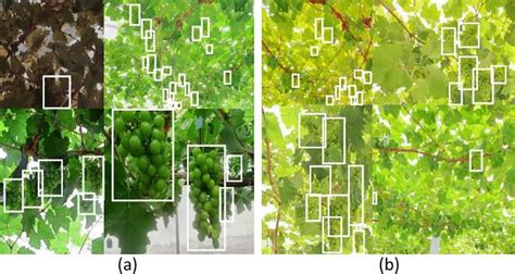 Mosaic Data Enhancement Image Download Scientific Diagram