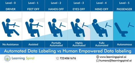 Automated Data Labeling Learning Spiral AI