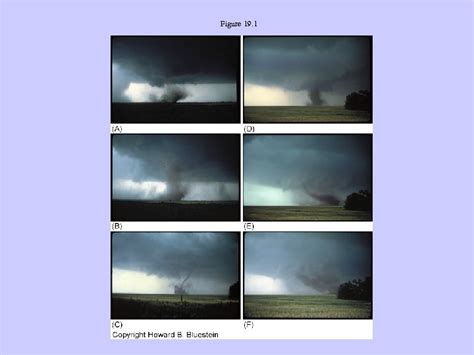 Chapter 19 Cover Figure 19 1