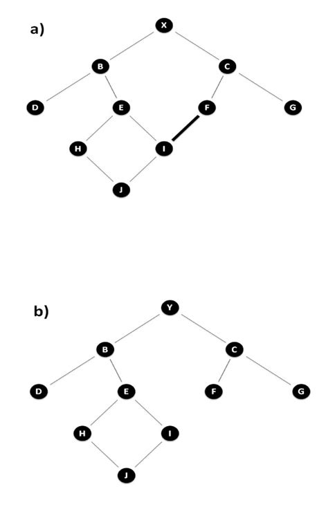 Computation Of Classical New And Ancestral Inbreeding Coefficients For Download Scientific