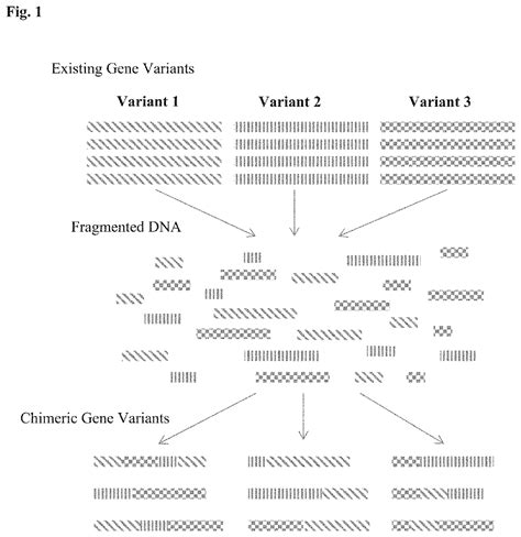 A Htp Engineering Platform Eureka Patsnap