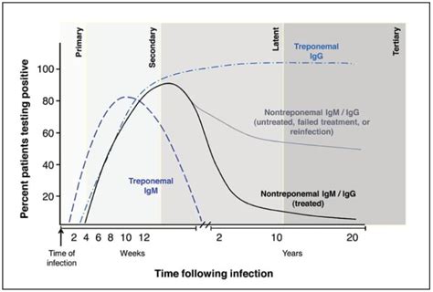 Beating Back Syphilis A Testing Story
