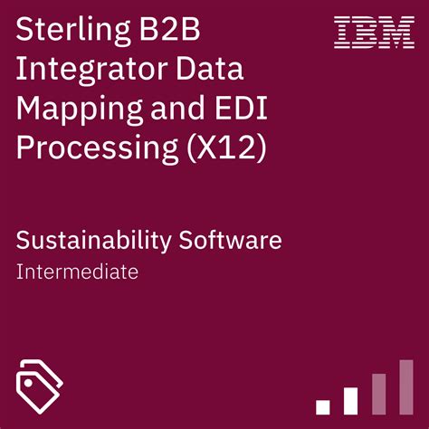 sterling b2b integrator data mapping and edi processing x12 credly