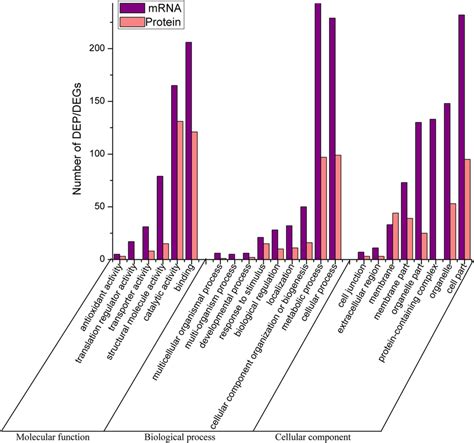 Bioinformatics Analysis Of Characterized Genes And Proteins Through