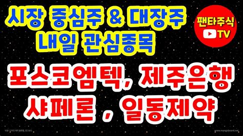 주식 대장주and 내일 관심종목포스코엠텍제주은행일동제약샤페론미스터블루코이즈버킷스튜디오양지사세종메디칼금양공구우먼 Youtube